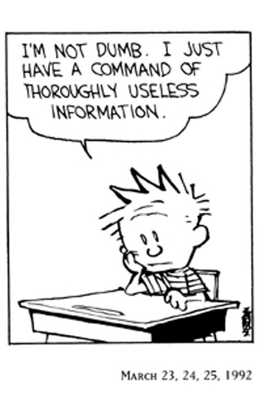 Some wisdom from Calvin: He always makes me smile...