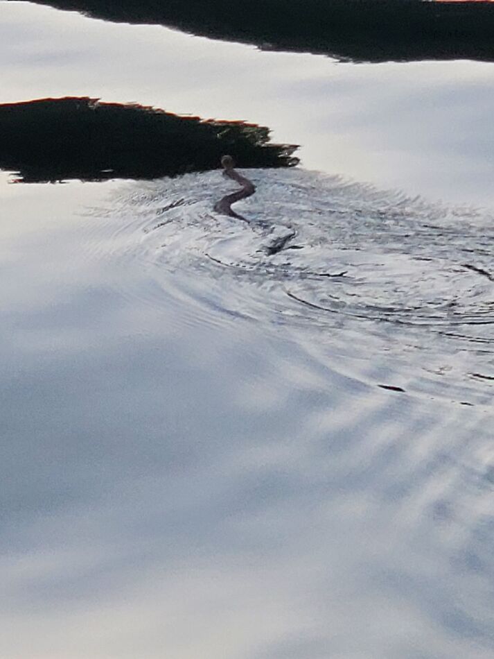 Finally: We got out on the upper bear creek lake late afternoon and ...