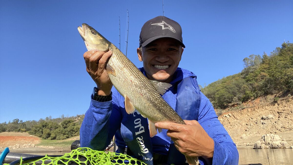 Folsom Lake - caught three different species of fish! What a great day ...