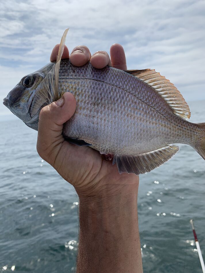 RI fishing trip: Well we had a lot of fun on the boat trip and all ...