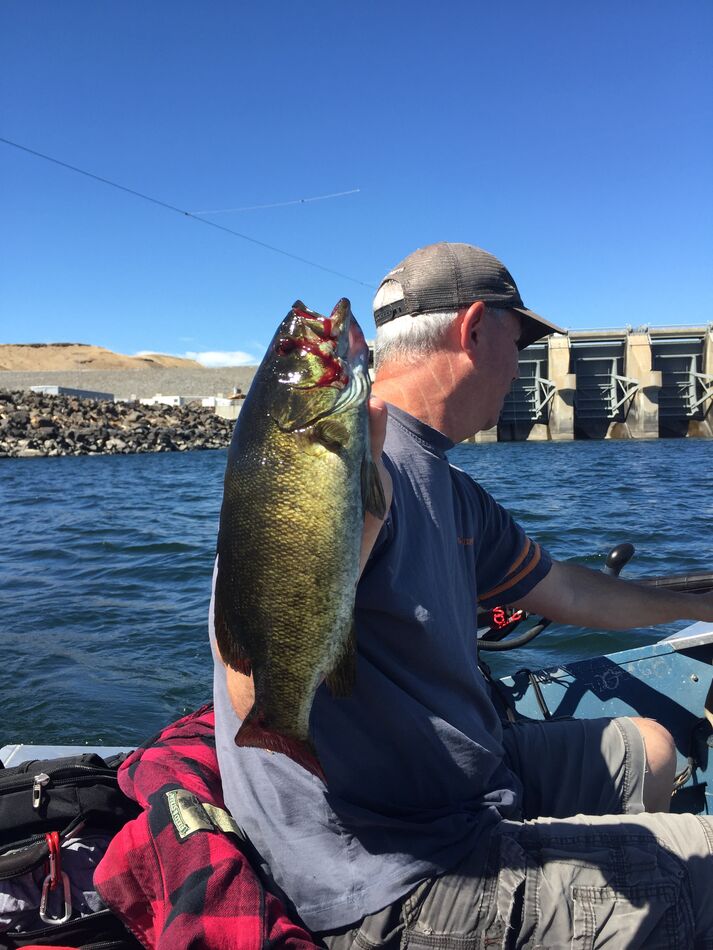 Great day on the river: 1. Caught two Steelhead, 2 bass, a walleye and ...