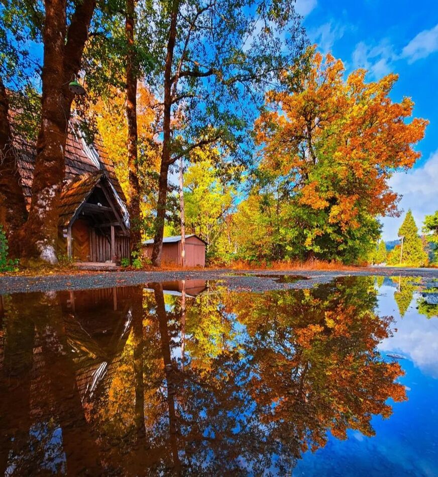 Photo of the Day #196: Some beautiful colors. Hope you enjoy ...