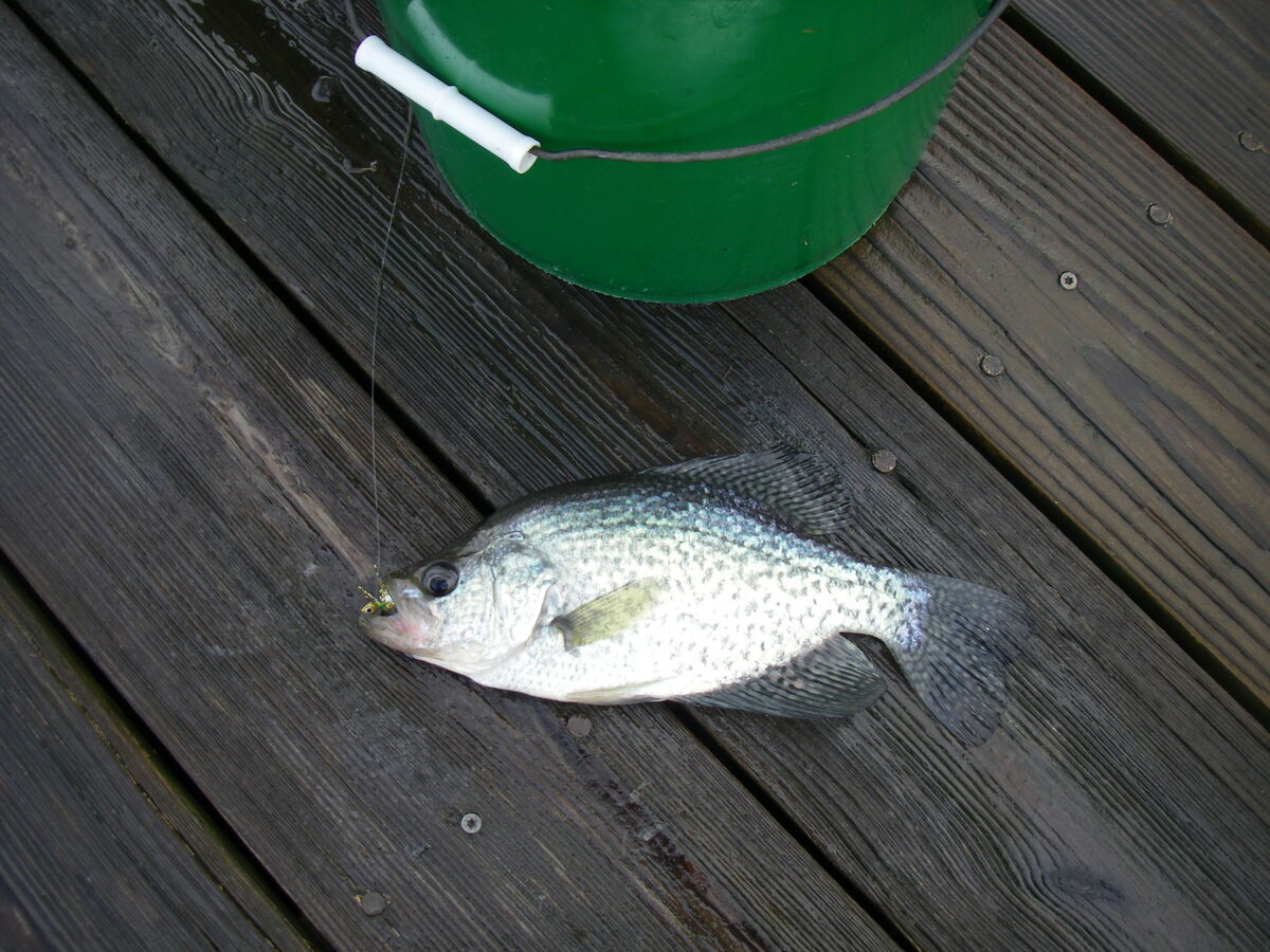 10/31/23 Crappie Fishing: 10/31/23 I took a chance with the rain, and I ...