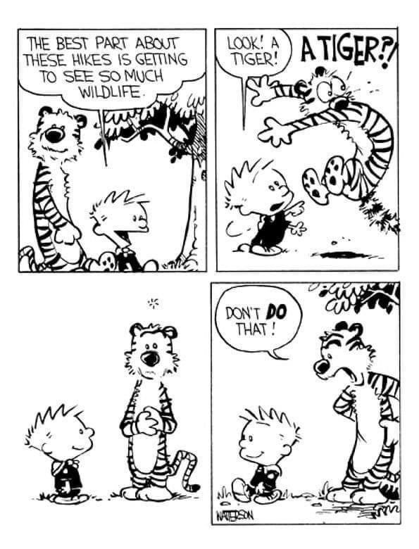 Fresh for Thursday: Calvin….