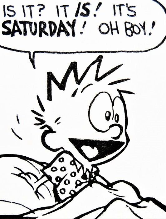Saturday morning cartoons?? Featuring Calvin (Who else??)🤣😂...