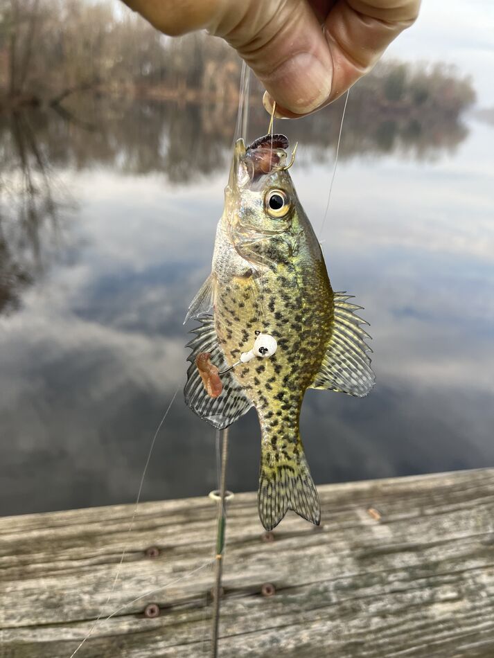 Fog 🌫️ fishing 🎣: Went ultralight jigging in 48 degree Carnegie Lake ...