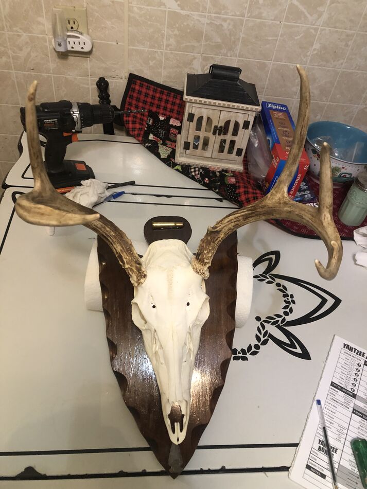 European mount: I finish up my grandsons mount today I cut the board ...