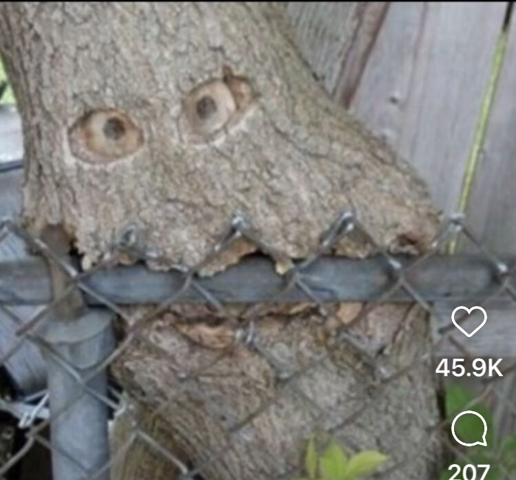 Accidental face Du jour: Well, maybe not so accidental But still good 👍...