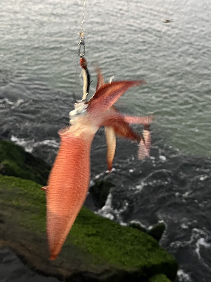 Washington squidding: Squidding is fishing! Manchester/Port Orchard was ...