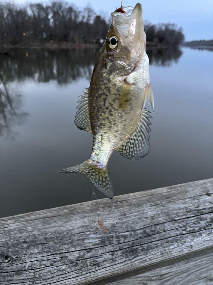 Sou’wester fishing: Went ultralight jigging in a 40 degree Central ...