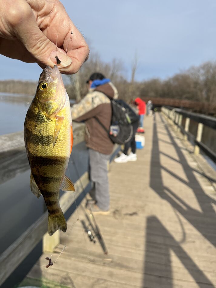 Sou’wester fishing: Went ultralight jigging in a 40 degree Central ...