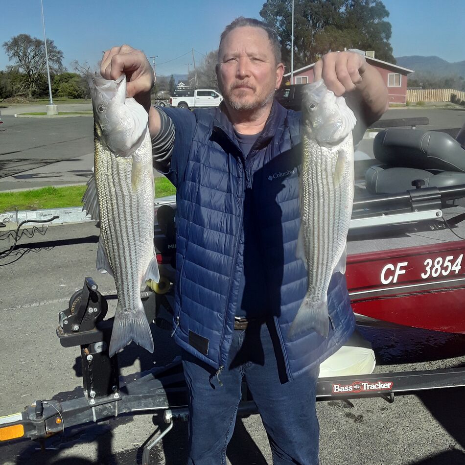 Napa today 2 9 23: Well guys Ben , Tong and I went out to the Napa ...