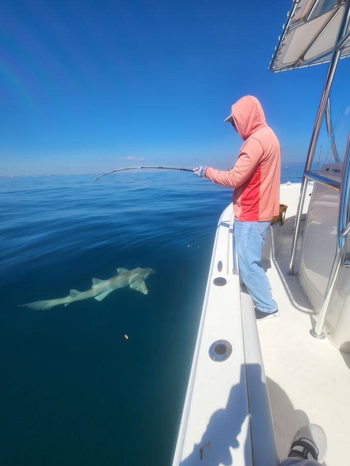 Catching and releasing a Nurse Shark near St Lucie inlet: Caught it on ...