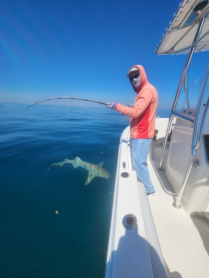 Catching and releasing a Nurse Shark near St Lucie inlet: Caught it on ...