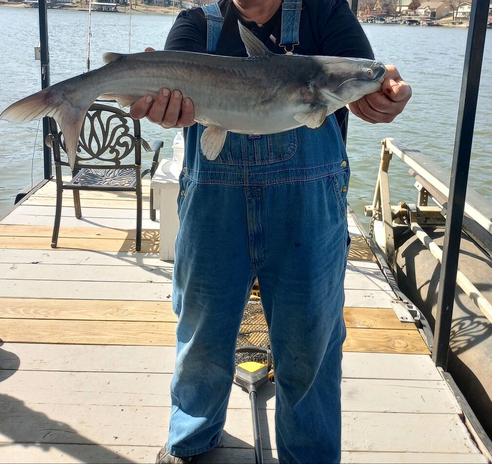 Catfish: Are moving slow...