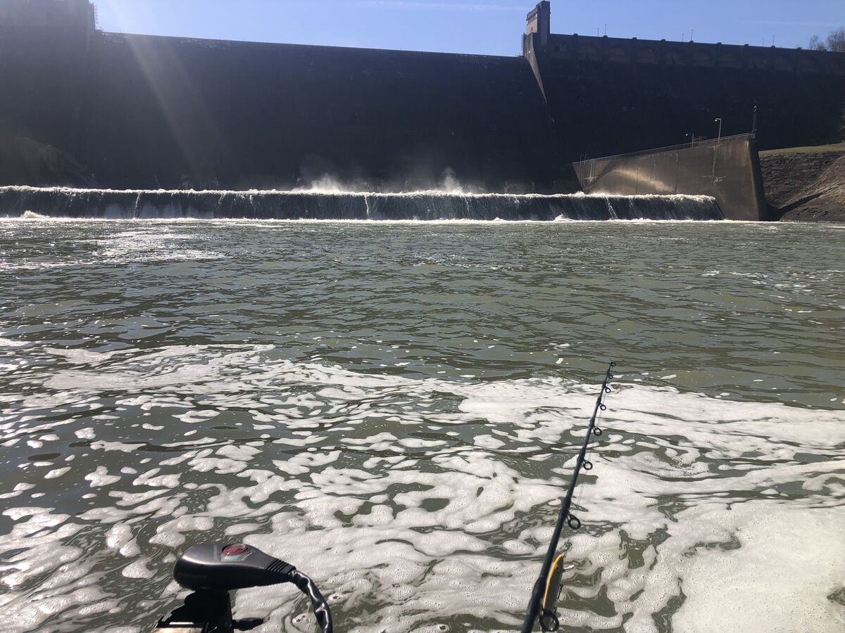 Tygart river wv: Went to tygart river musky fishing today. Fished right ...