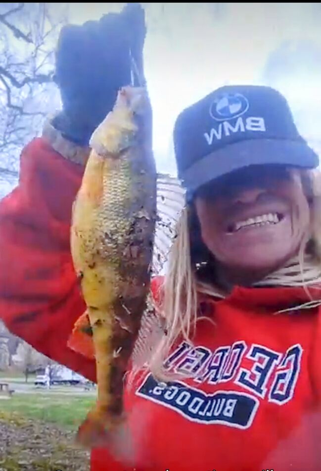 Rivers Edge Perch: Hi. Pamela here, new to the south west mountains of ...