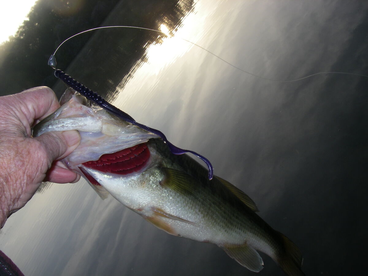 4/14/23 Good Fishing This Morning: 4/16/23 The crappie showed up with ...