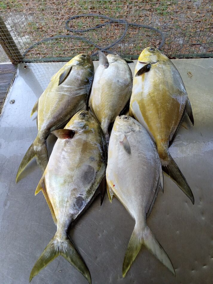 Port St Joe: Limited on Pomano Wednesday off of the point using small ...
