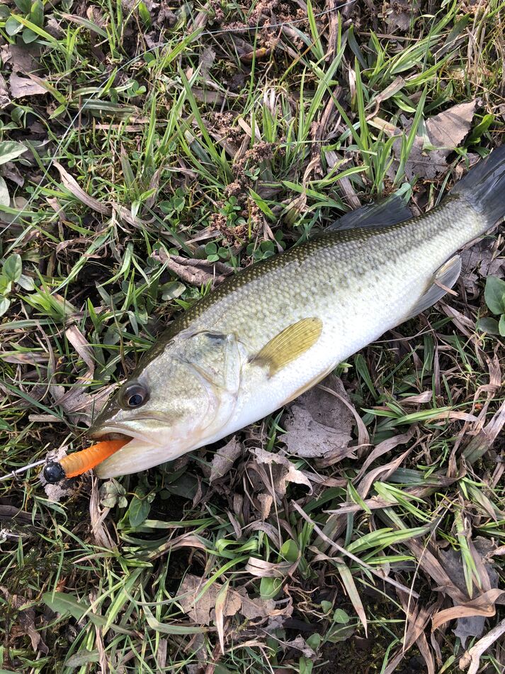 First catch of the year: I’m on the board!! 10 inches, which are fun to ...