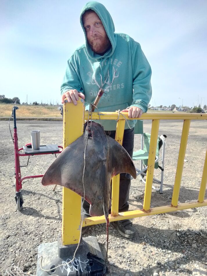 BBBR4B (Beer Battered Bat Ray for Brunch): I finally cooked the bat ray ...