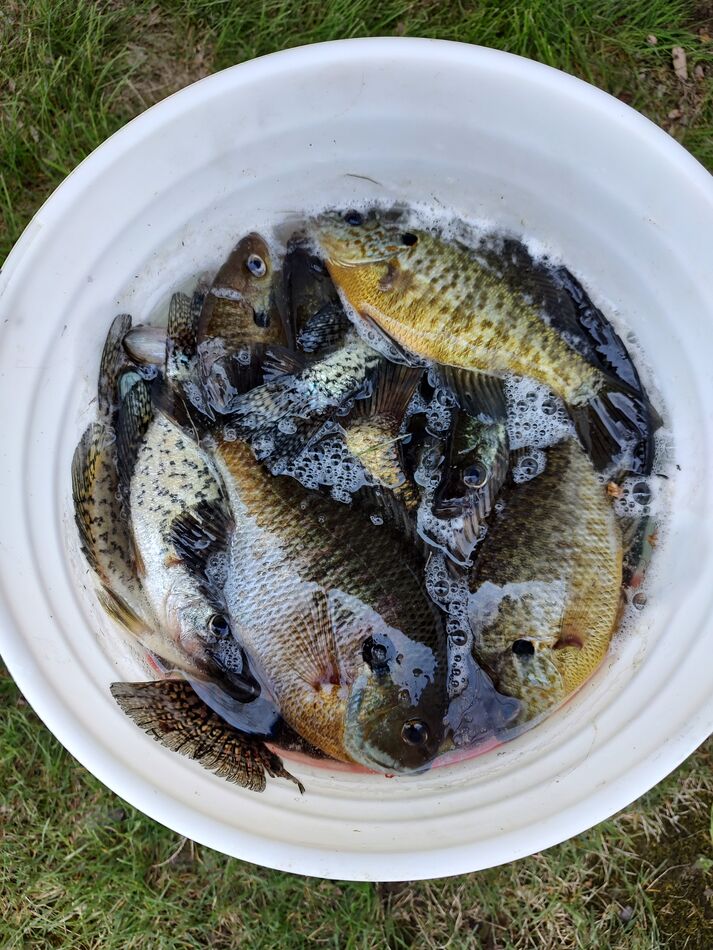 Cooperative weather: Well the last 3 days have been a little more ...