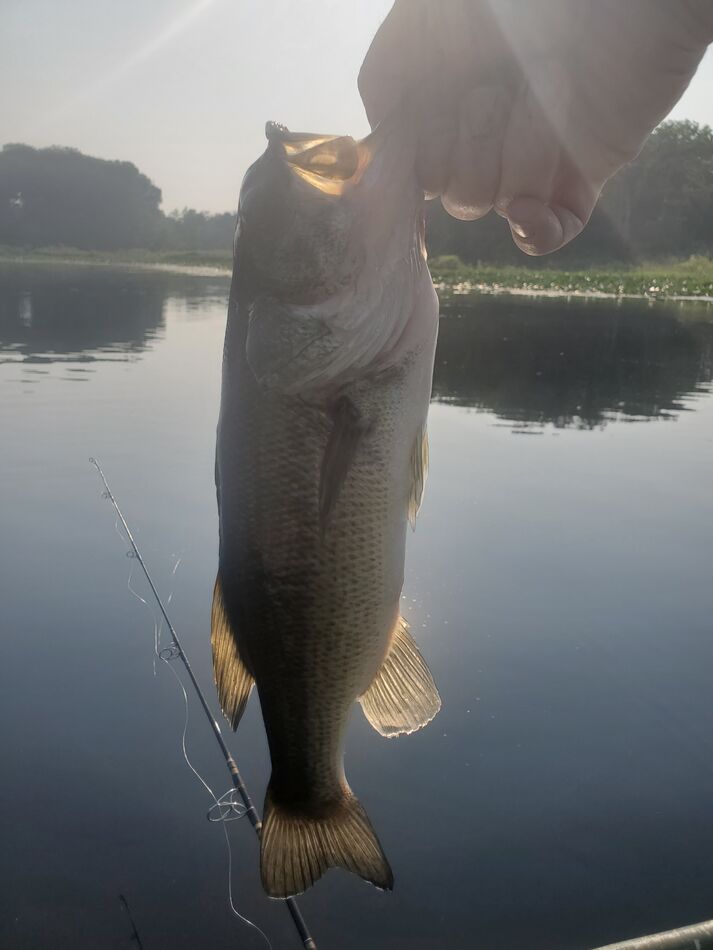 Long lake Valparaiso, in: Checking in, been fishing 2 to 3 tines week ...