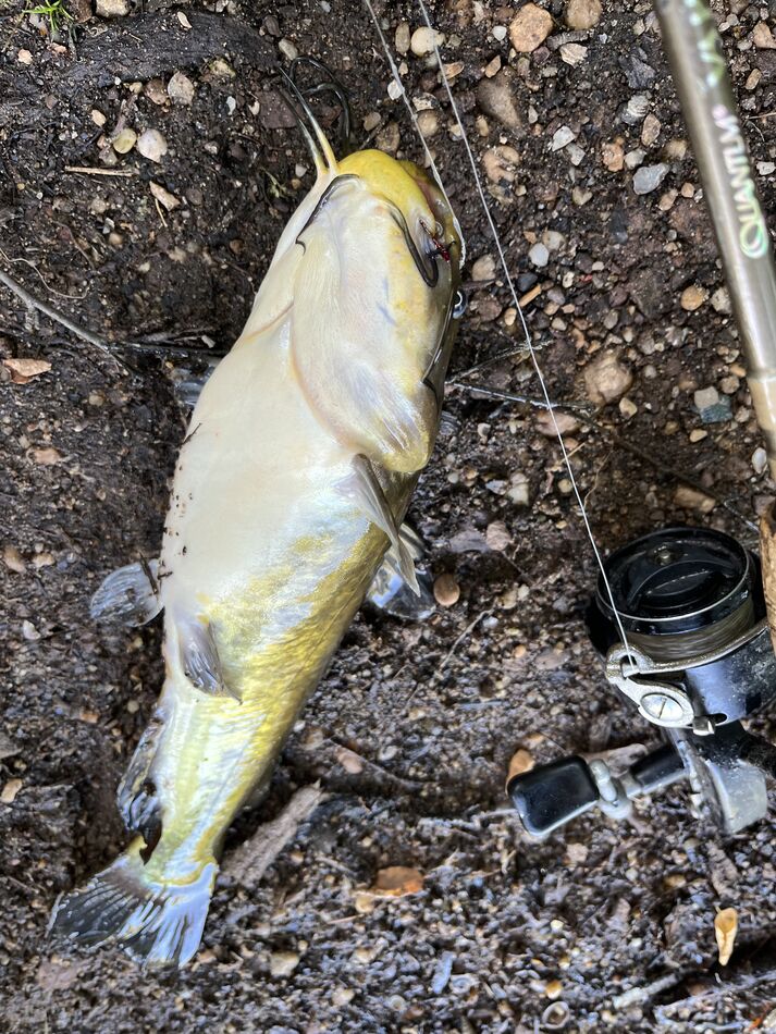 Thunderstorm ⛈️ fishing 🎣: Cooked up a new batch of my homemade corn ...