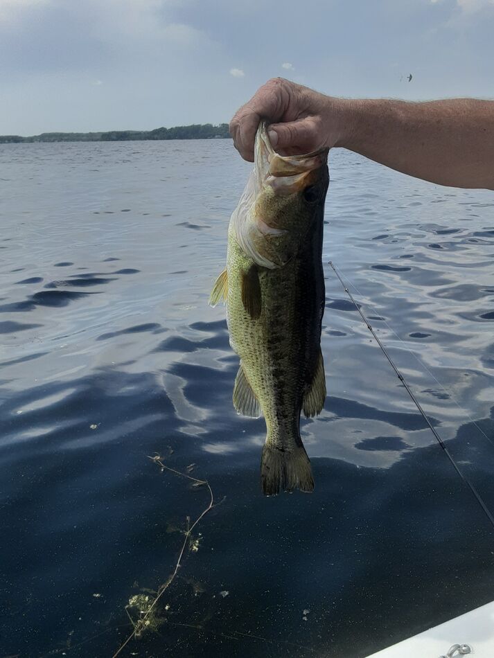Saratoga Lake New York June 1st: First time out on the water for this ...