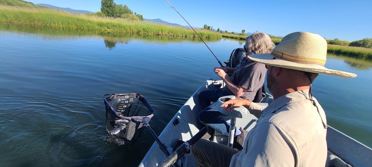 Williamson River, Oregon - share guide? I'll be at Collier State Park ...
