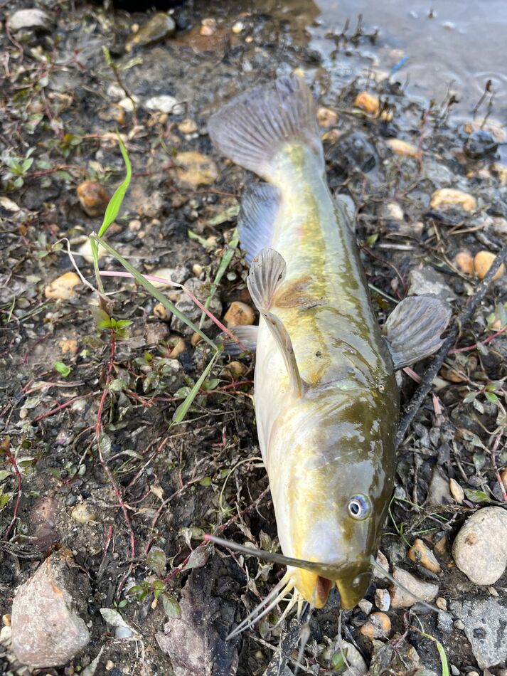 Fishing 🎣 in 90 degree water: Went carping in 90 degree Robert G Martin ...