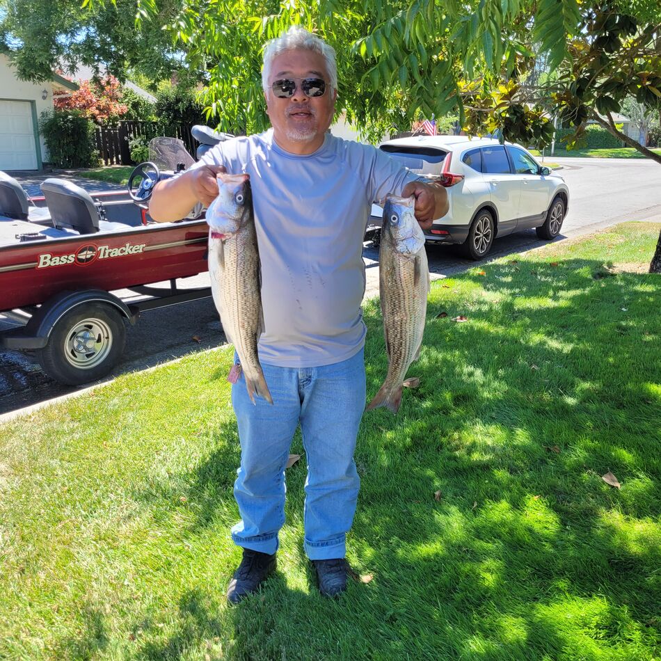 Fishing the Petaluma River with Capt. Ben 8-10-23: In the water 0645ish ...