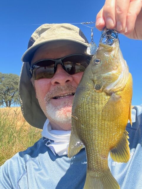 Bass/Bluegill yesterday Auburn, CA: Hiked into a pond in the foothills ...