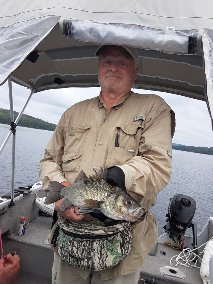 Maine white perch: Got back from a week of white perch fishing last ...
