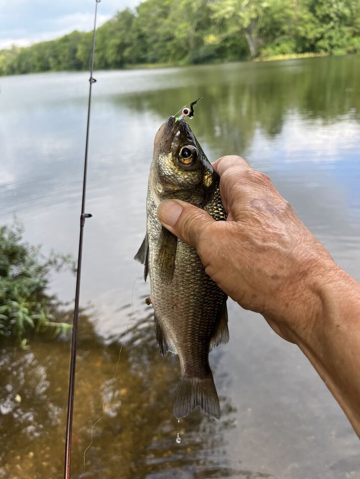 Fishing 🎣 before the storm ⛈️: Went carping in 83 degree Carnegie Lake ...