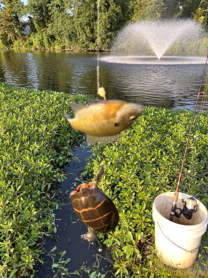 NJ Elite Angler: I won 12 NJ Skillful Angler Catch and Release ...