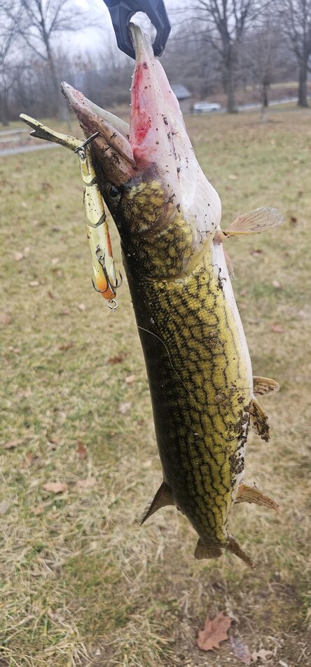 Leaser Lake, PA: Broke in the new combo (St Croix Bass X Heavy w/ Lews ...