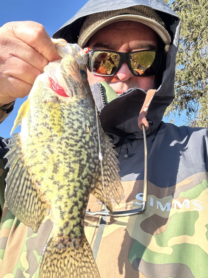 A few today: Pretty nice day, little wind and plenty of sunshine. Got a ...