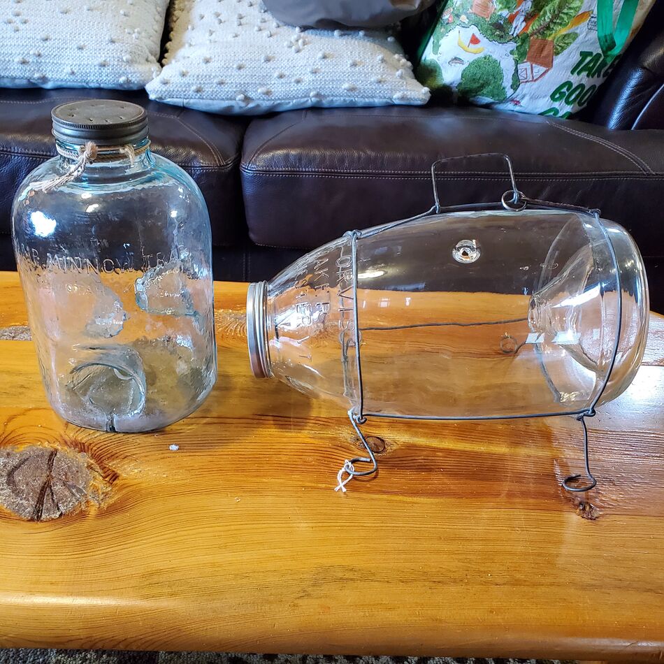 Glass Minnow Traps: Been a while since I posted anything. In the past ...