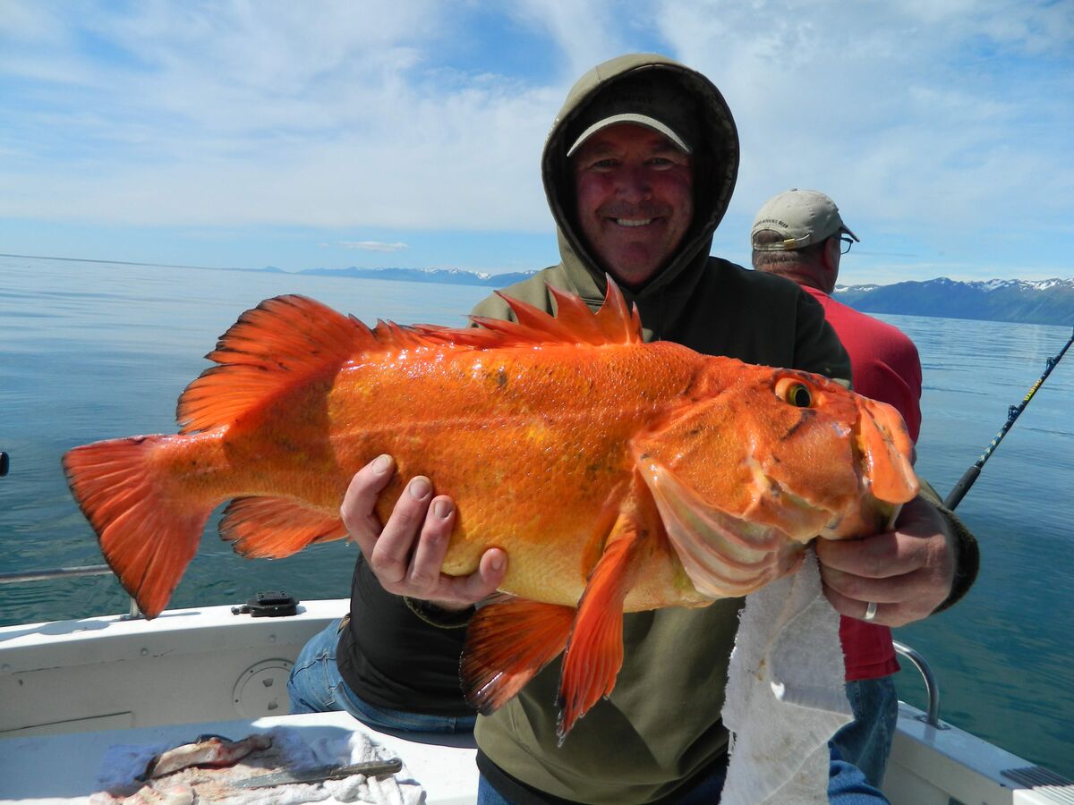Fishaholic: Hi My name Daniel and I'm new to site, love fishing of ...