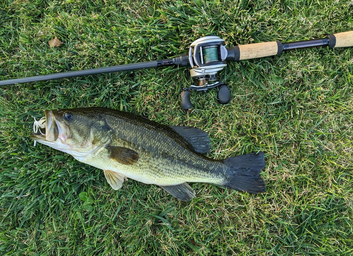Hello from Delavan Lake, WI! I love to fish. I used to be a golf ...