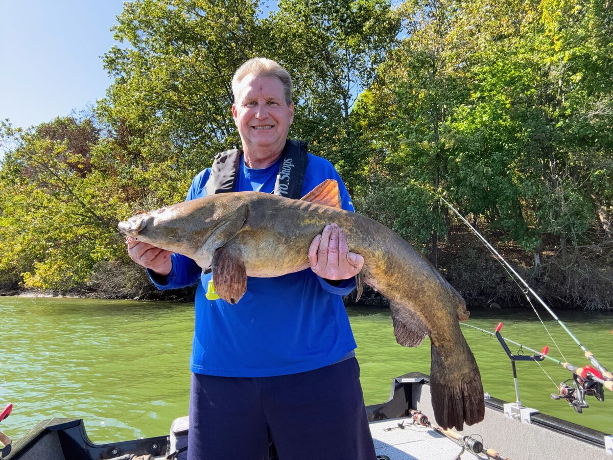 Caught multi-species fish this morning including a 33.1 lber: Fished ...