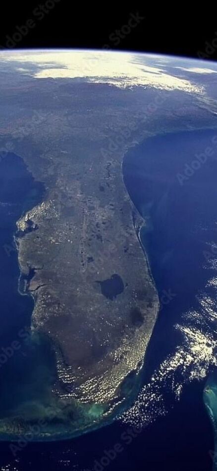 Accidental Face du Jour 11/14: Good morning!!! Florida has a split ...