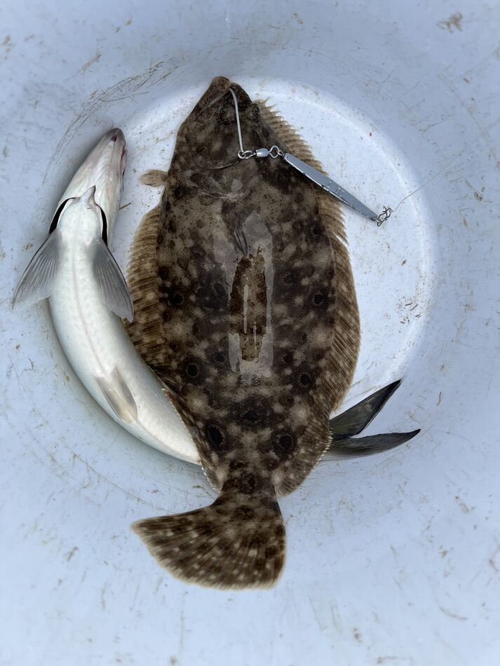 Caught 3 species of fish 🐟 with lures in the inlet on a full moon nor ...