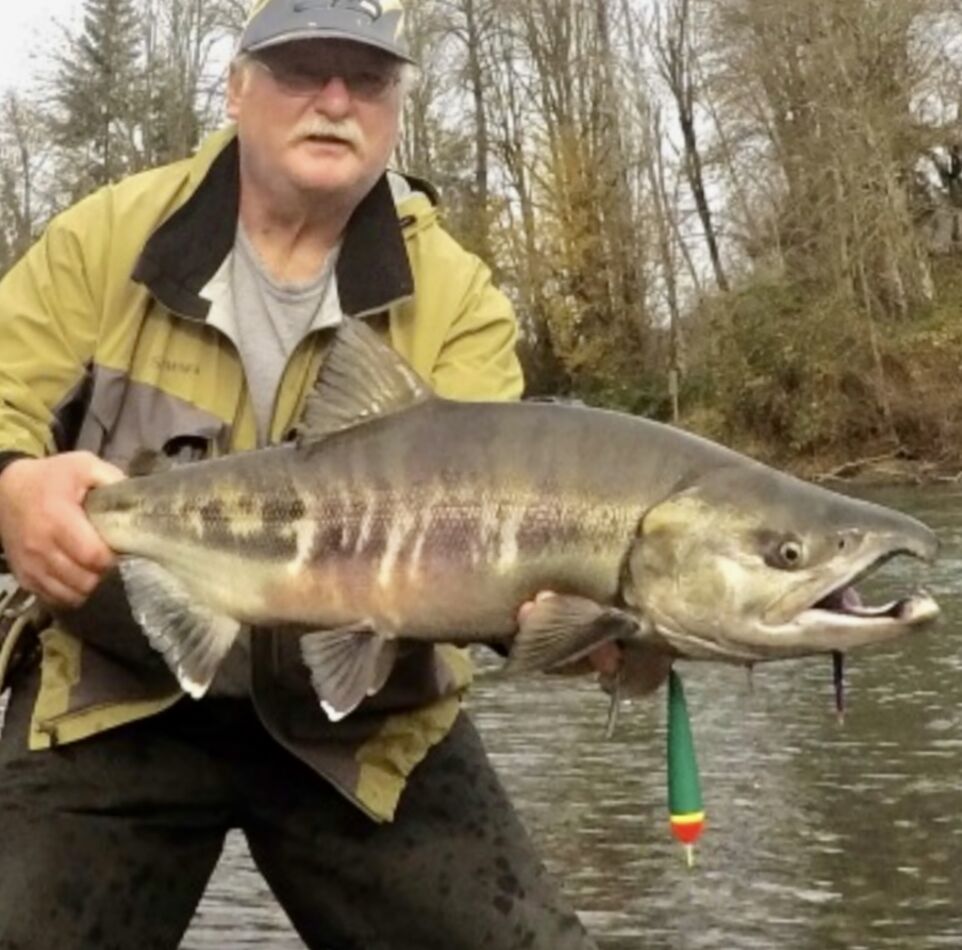It’s chum salmon fishing in WA state: Chum are aggressive and we catch ...