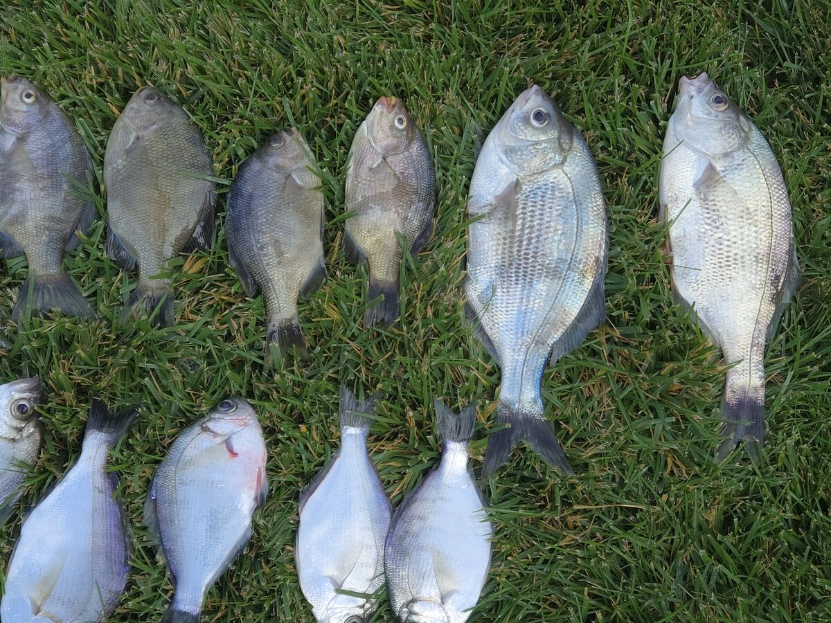 Ferry point pier now open: Ferry point pier has reopened in Richmond ca ...