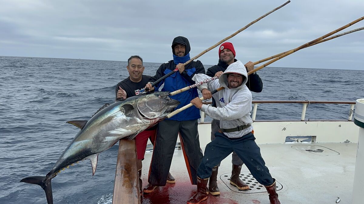 Blair: I am primarily a deep sea fisherman but started fresh water ...