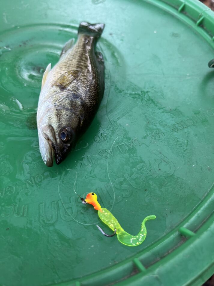 Applying for my 87th NJ Skillful Angler Recognition Award 🥇: https ...