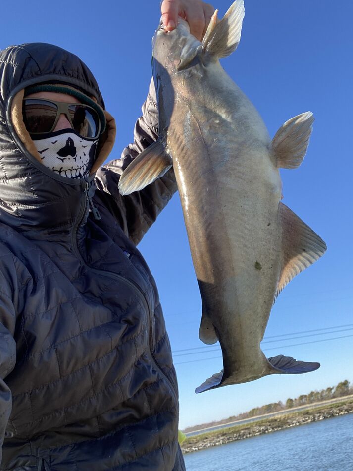 Baldwin Lake Illinois ‘24 December Cat and bass: Nice way to spend a ...