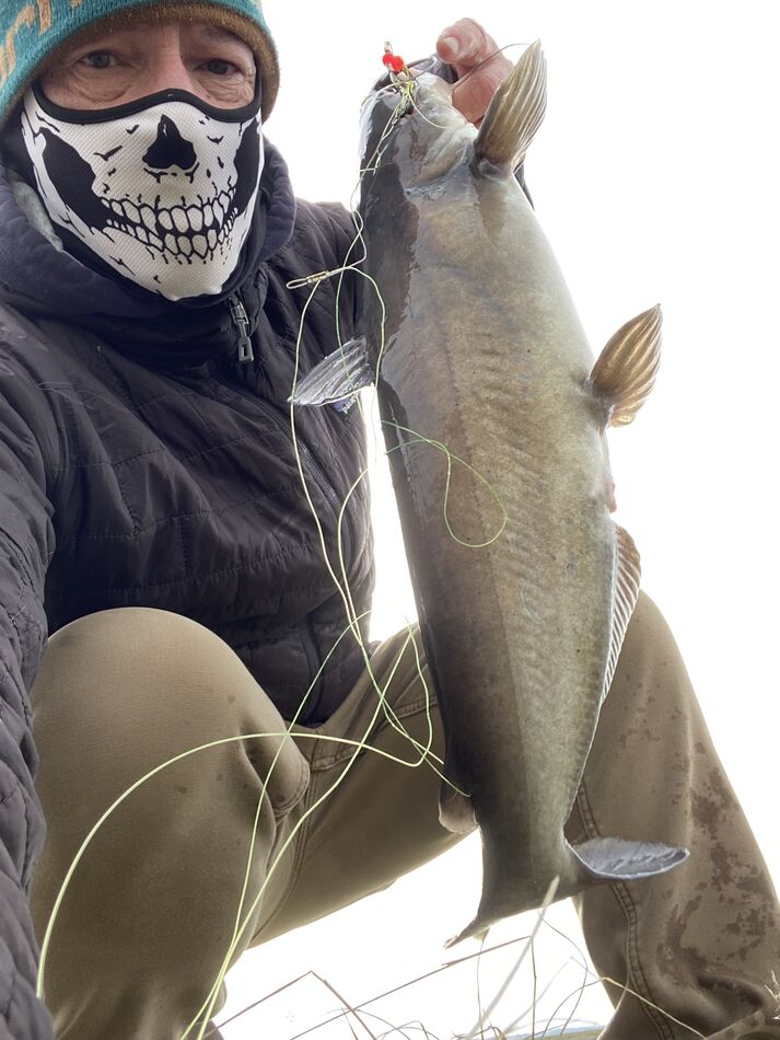 December southern Illinois . Good action . Nice day: Drop shot nose ...